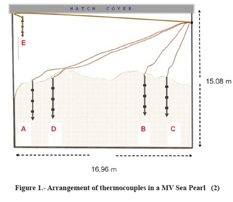 Servicios Personalizados