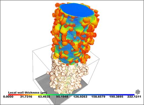 Additively Manufactured Lattice Structure Surface Morphology Evaluation