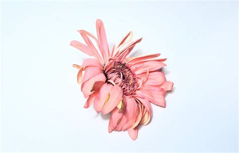 春のスキンケアを紹介！3つのポイントに注目して乾燥や花粉から肌を守ろう Suikoオフィシャルオンラインストア