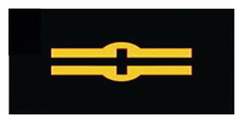 Scoring Of Radiograph Using Rust A The Presence Of A Fracture Line