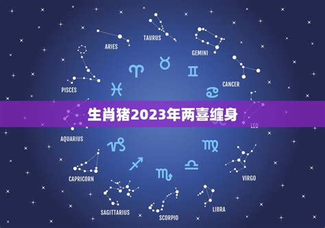 生肖猪2023年两喜缠身 预测2023年生肖猪的运势和发展方向 星辰八字