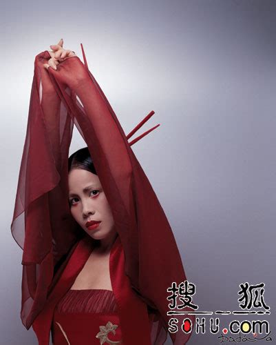 何训田现身首映 朱哲琴这部电影的主角是声音 搜狐音乐