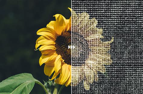 Text Drawing Effect Photoshop Action Add Ons GraphicRiver