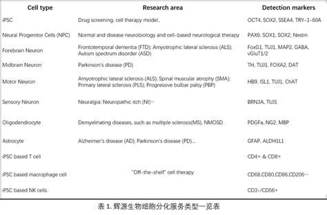 Ipsc基因编辑与细胞类型分化服务平台 知乎