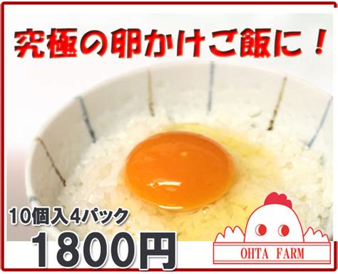 【楽天市場】【北海道産】【キチン卵40個（10個入×4パック）】生卵・たまごかけご飯・たまご好きにはたまらない【楽ギフのし】【楽ギフのし宛