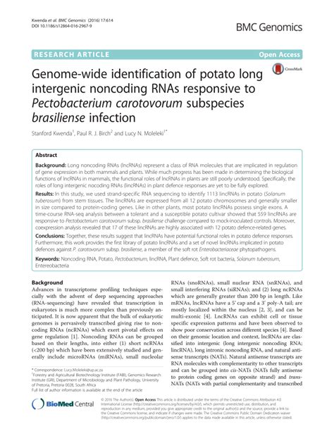 PDF Genome Wide Identification Of Potato Long Intergenic Noncoding