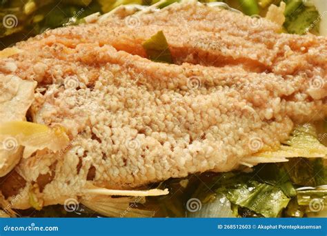 Spicy Boiled Fried Red Bass Fish And Herb In Tom Yum Soup On Plate