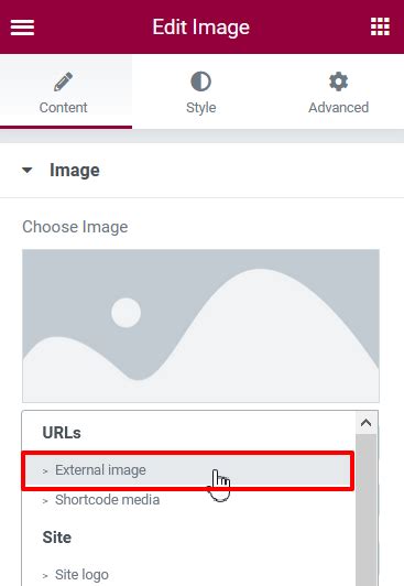 Add External Image For Elementor Elementor Addon Components