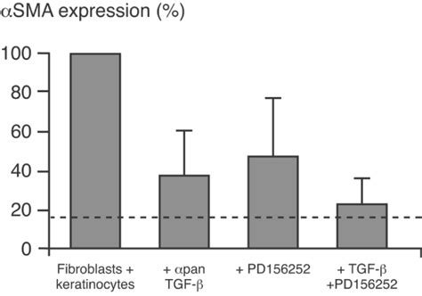 Fibrosis In Connective Tissue Disease The Role Of The Myofibroblast And Fibroblast Epithelial