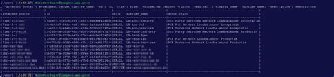 Vmware Datacenter Cli Dcli Nsx T Examples And Use Of Jmespath