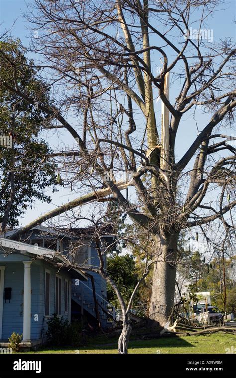 Damage To Power Poles Trees Houses Caused By Strong Wind In Southern