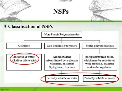 Enzymes Used In Poultry And Ruminant Nutrition Pptx Digestive Disorders Diseases And