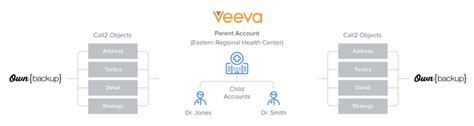 Remove Old Veeva Data Or Stay Compliant You Dont Have To Choose