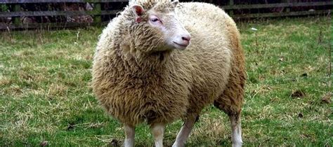 Kinley Pelden Posted On Linkedin