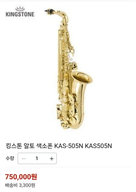 알토섹소폰 당근 중고거래