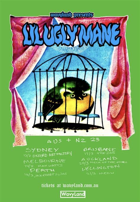 Lil Ugly Mane — Neck Of The Woods