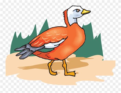 Tree Orange Bird Wings Standing Png Image Clip Art Transparent Png PinClipart