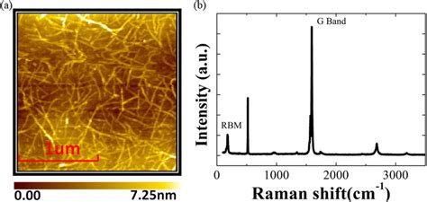A The Afm Image B Raman Spectroscopy Of The Swcnt Network Film