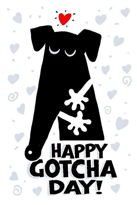 Happy Gotcha Day Quotes ShortQuotes Cc