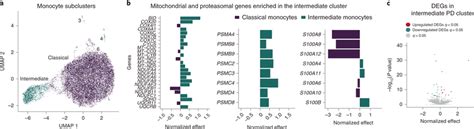 Single Cell Profiling Of Cd14⁺ Monocytes From Pd And Control