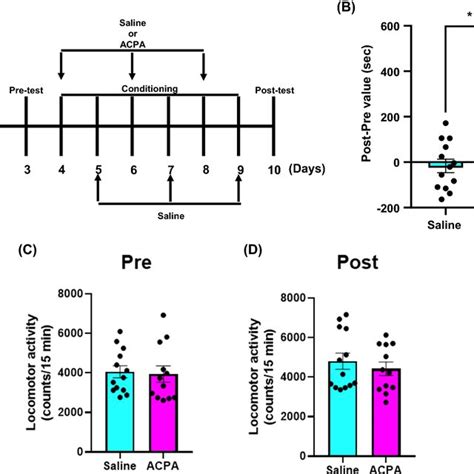 Place Preference Test In Mice Administered With Acpa A Time Schedule