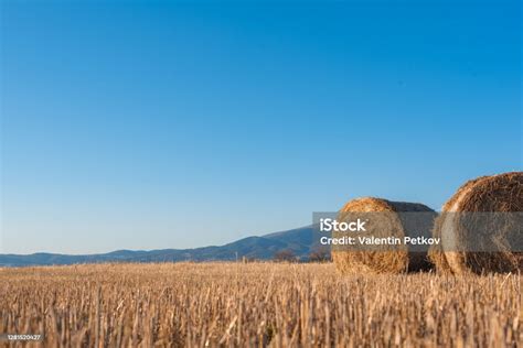 맑은 컷 경로 따뜻한 색상 불가리아 시골 풍경 태양 일 맑은 푸른 하늘건조 건초장 0명에 대한 스톡 사진 및 기타 이미지 0