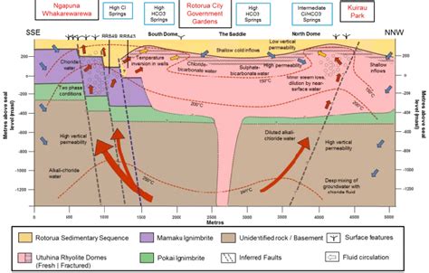Nnw Sse Cross Section Of The Conceptual Model Of The Rgf Download