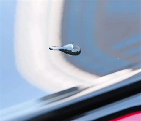 Tree Glue DO Professional Detailing