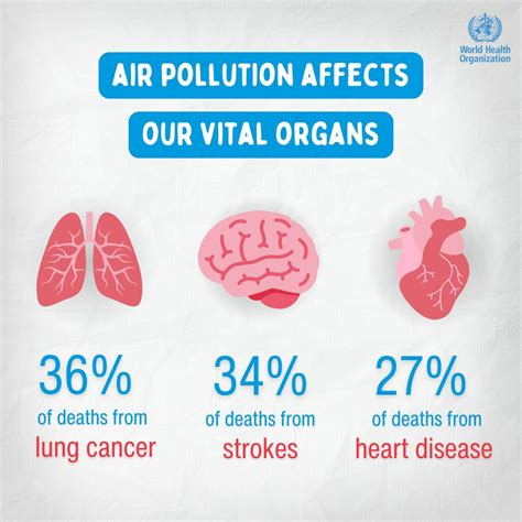 World Health Organization On Linkedin Airpollution 45 Comments