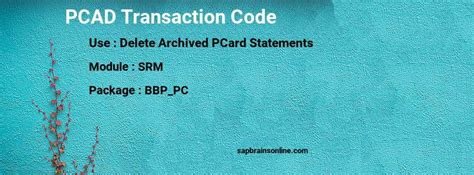 Pcad Sap Tcode For Delete Archived Pcard Statements