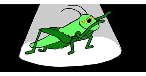 Drawing Of Grasshopper By Ziluolan Drawize Gallery