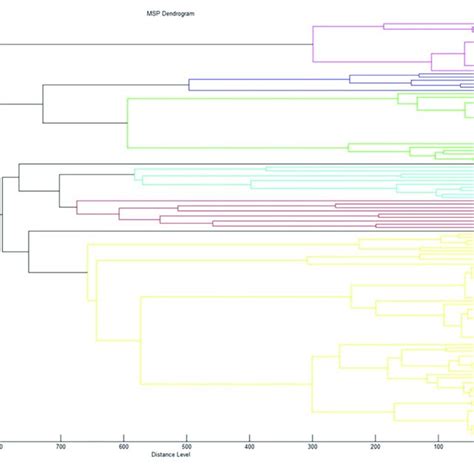Dendrogram Analysis Of Strains In Different Regions A Dendrogram Download Scientific