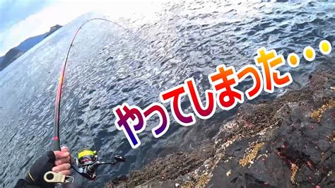 大型尾長を狙っていたらやってしまいました・・・ 愛媛県中泊 イキツキ Youtube
