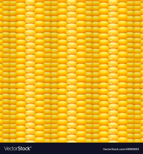 Pattern Of Corn Kernels Royalty Free Vector Image