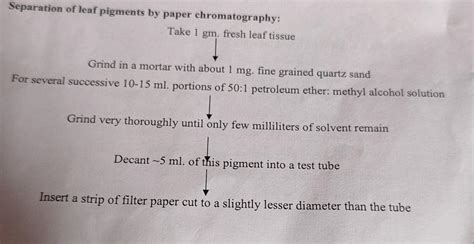 Solved 1 Calculate The Rf Values For Each