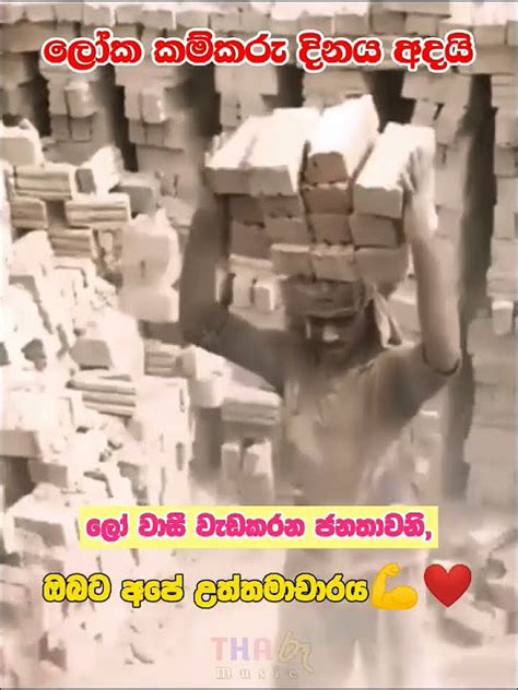 ලෝක කම්කරු දිනය අදයි💪 ️ Youtube