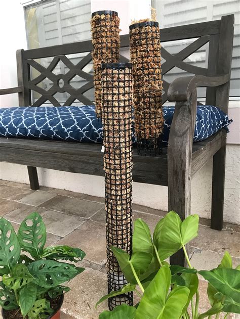 Moss Pole Self Watering Moss Pole Etsy