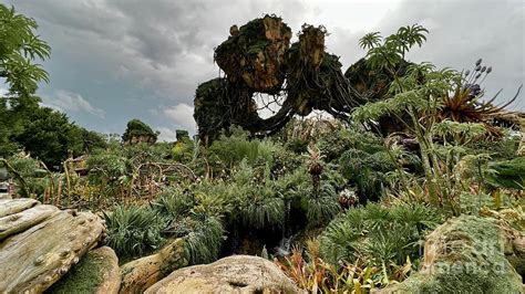 The Avatar World Photograph By Juan Cortes Pixels