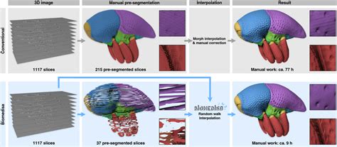 comparison between a conventional segmentation approach and