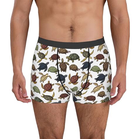 Fotbe Various Turtle Mens Total Support Pouch Boxer Briefs X Temp