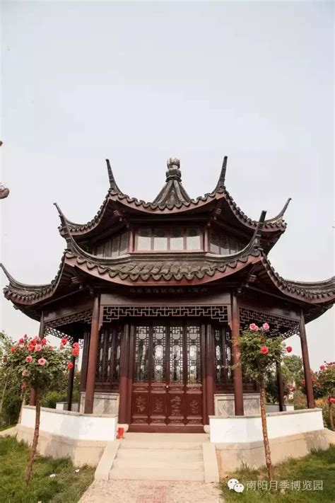 古韻中國月季園 每日頭條