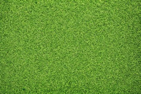 Premium Photo Beautiful Green Grass Pattern