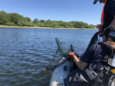 Evie Templeman On Linkedin Great To Have Had The Opportunity To Be