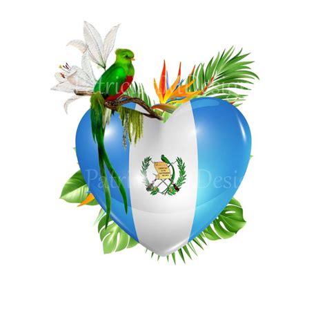 Guatemala Png Image Patriotic Heart 2400x3200px In 300 Dpi Png