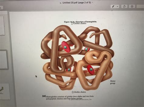 Bio Test 3 Flashcards Quizlet