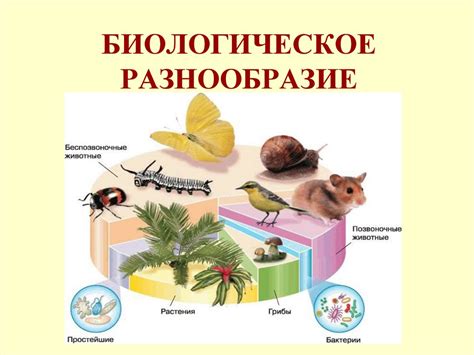 Общие свойства живых организмов презентация онлайн