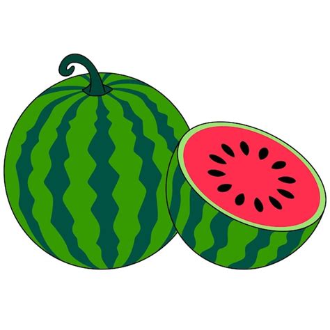 Wassermelone Isolated Vector Illustration Von Hand Gezeichnet Premium