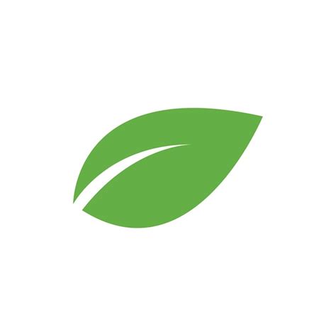 Premium Vector Green Leaf Logo Icon
