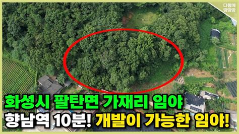 👍화성시 팔탄면 가재리 임야 매물 ️총 420평 면적의 입지 조건 좋은 임야 🔥전원주택 개발이 가능한 임야 매물 Youtube