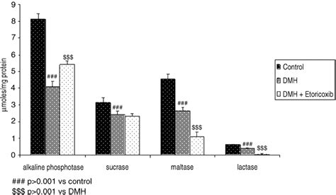Activities Of Intestinal Membrane Enzymes μ Molmg Protein In The